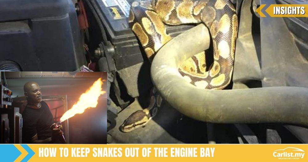 How To Keep Snakes Out Of Your Engine - Insights | Carlist.my